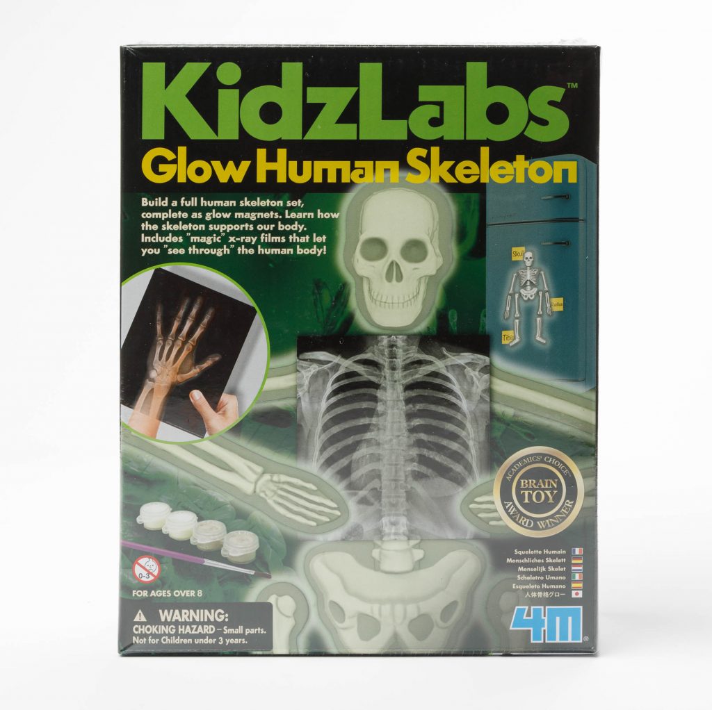 Glow Human Skeleton Making Kit by 4M - RAM Shop