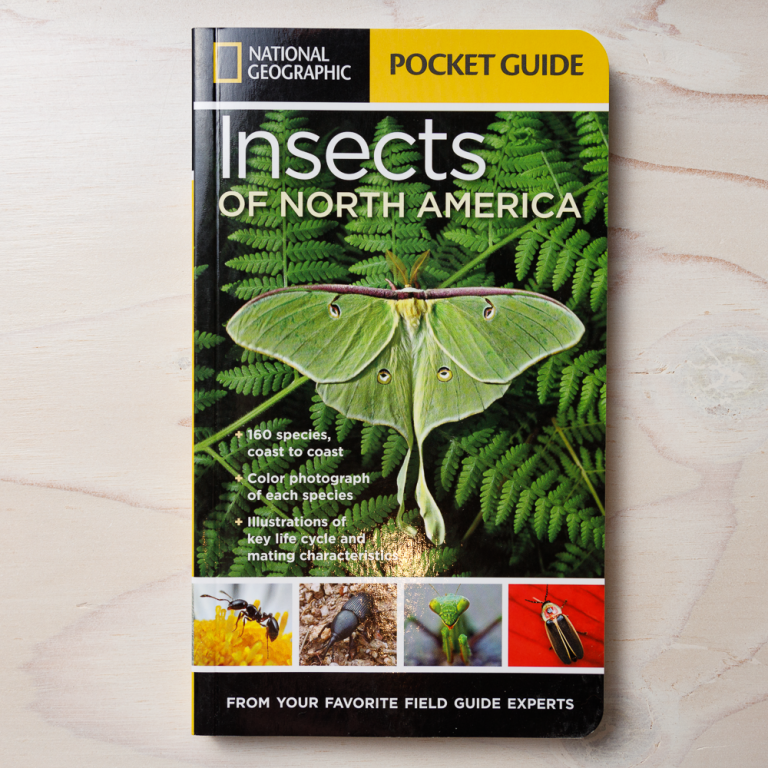 National Geographic Pocket Guide to Insects of North America - RAM Shop