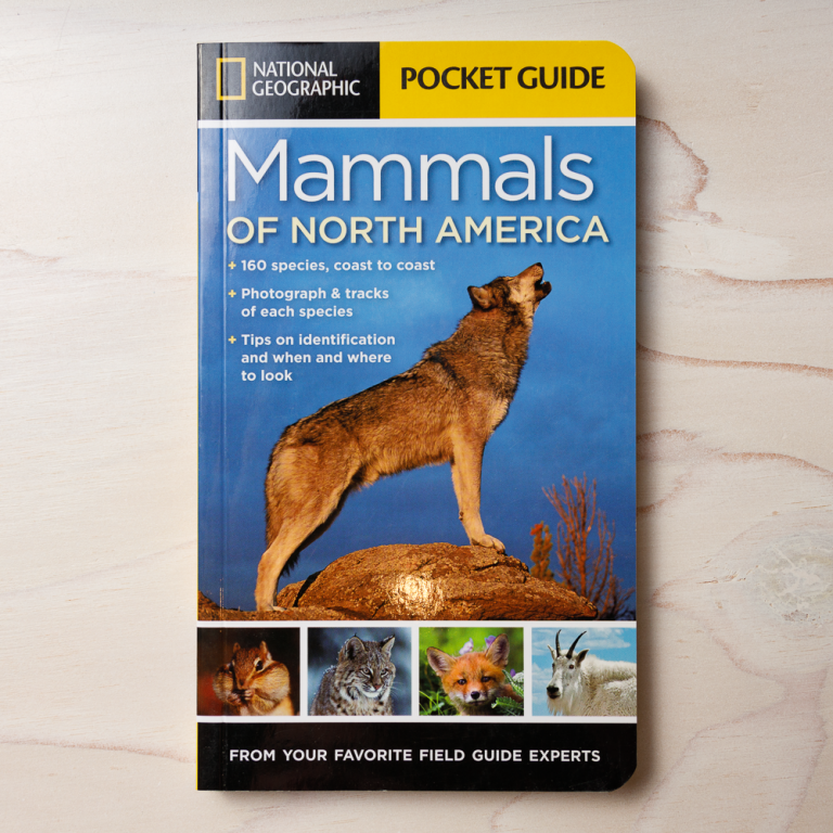 National Geographic Pocket Guide to Mammals of North America - RAM Shop