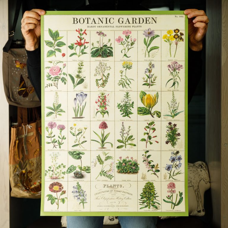 Botanic Garden Poster by Cavallini & Co. - RAM Shop