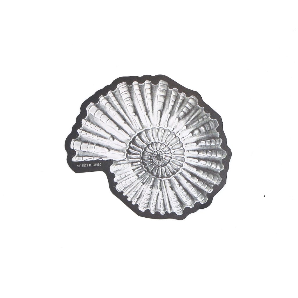 Ammonite Fossil Sticker by Cognitive Surplus - RAM Shop