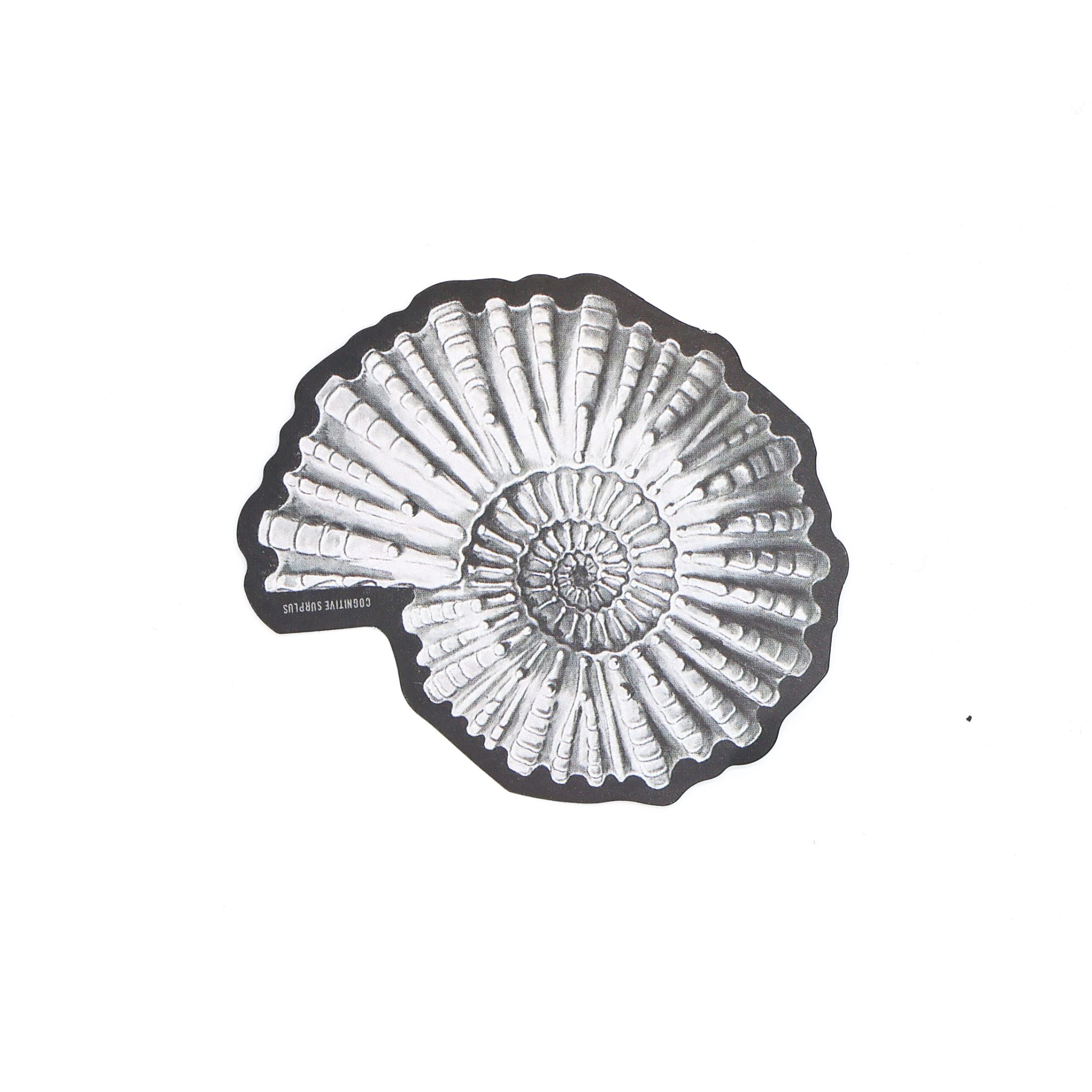 Ammonite Fossil Sticker by Cognitive Surplus - RAM Shop
