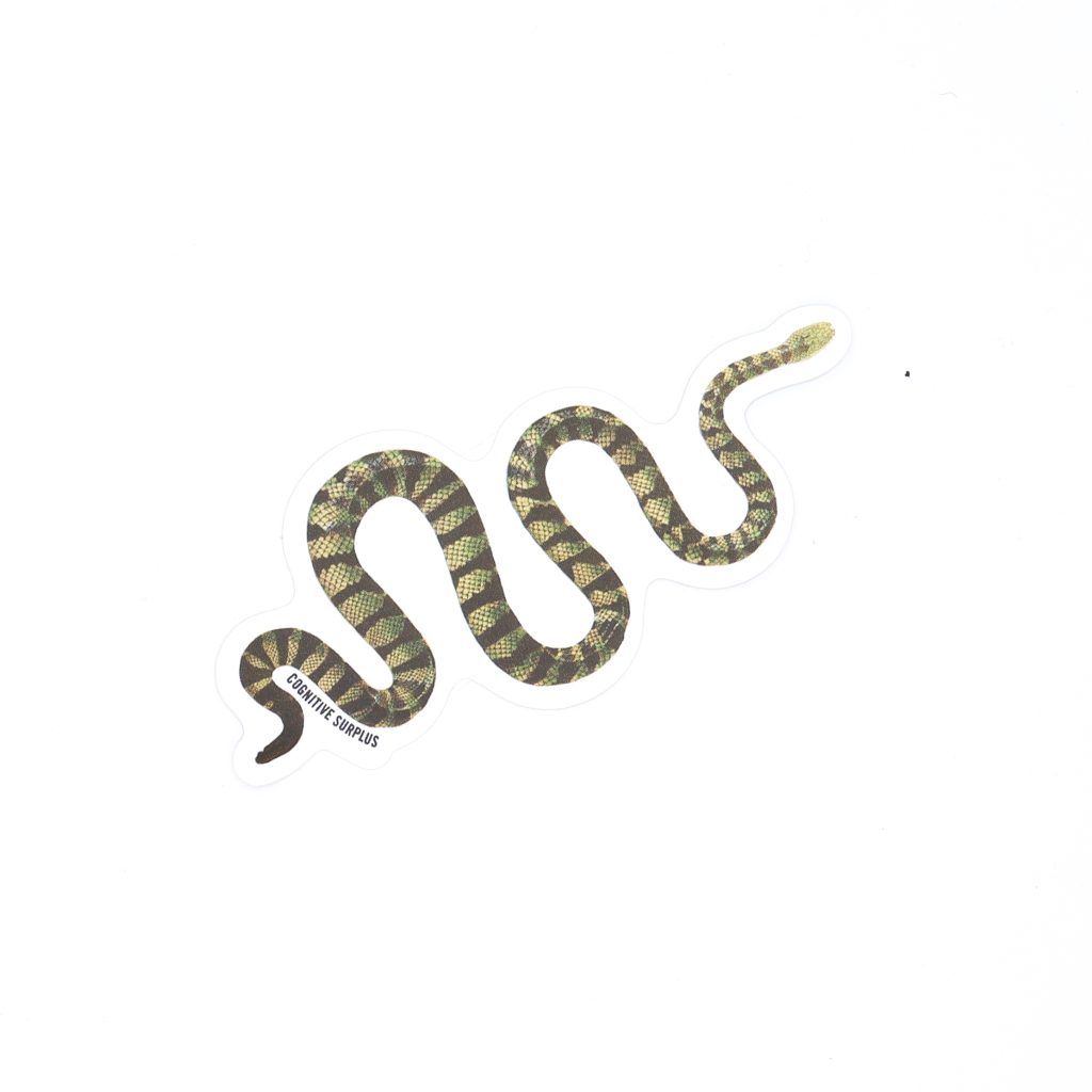 Green Snake Sticker by Cognitive Surplus - RAM Shop