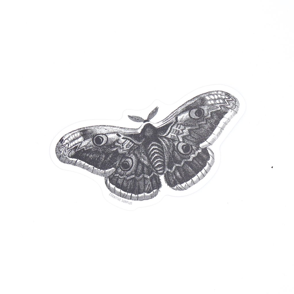 Moth Sticker by Cognitive Surplus - RAM Shop