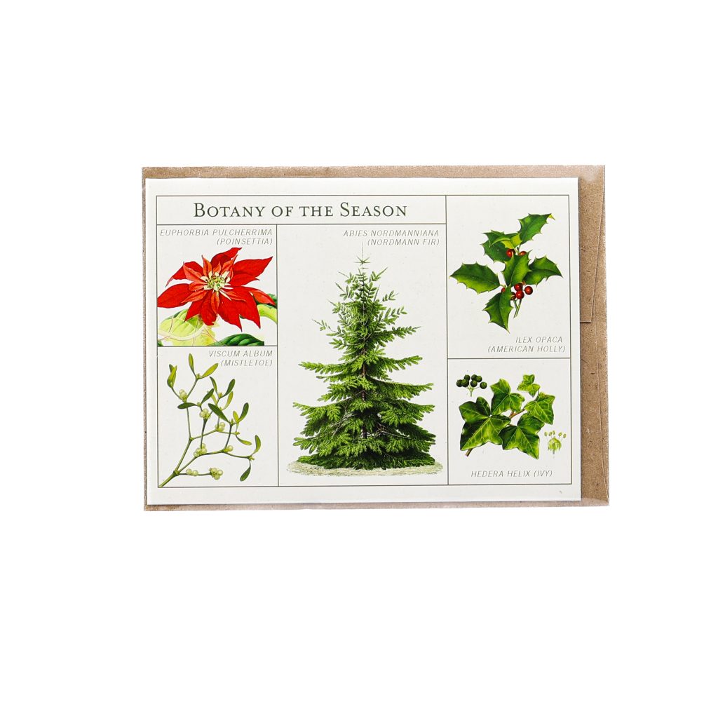 Botany Holiday Greeting Card Pack by Cognitive Surplus - RAM Shop