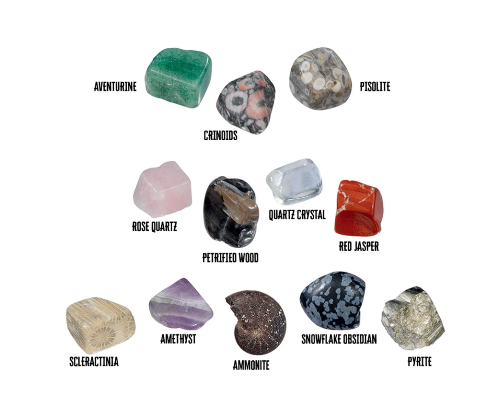 I Dig It! Rocks & Fossils Mini by Thames & Kosmos - RAM Shop